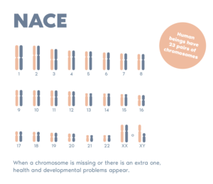 NACE: Non-invasive prenatal test | Healthy Pregnancy | Igenomix India