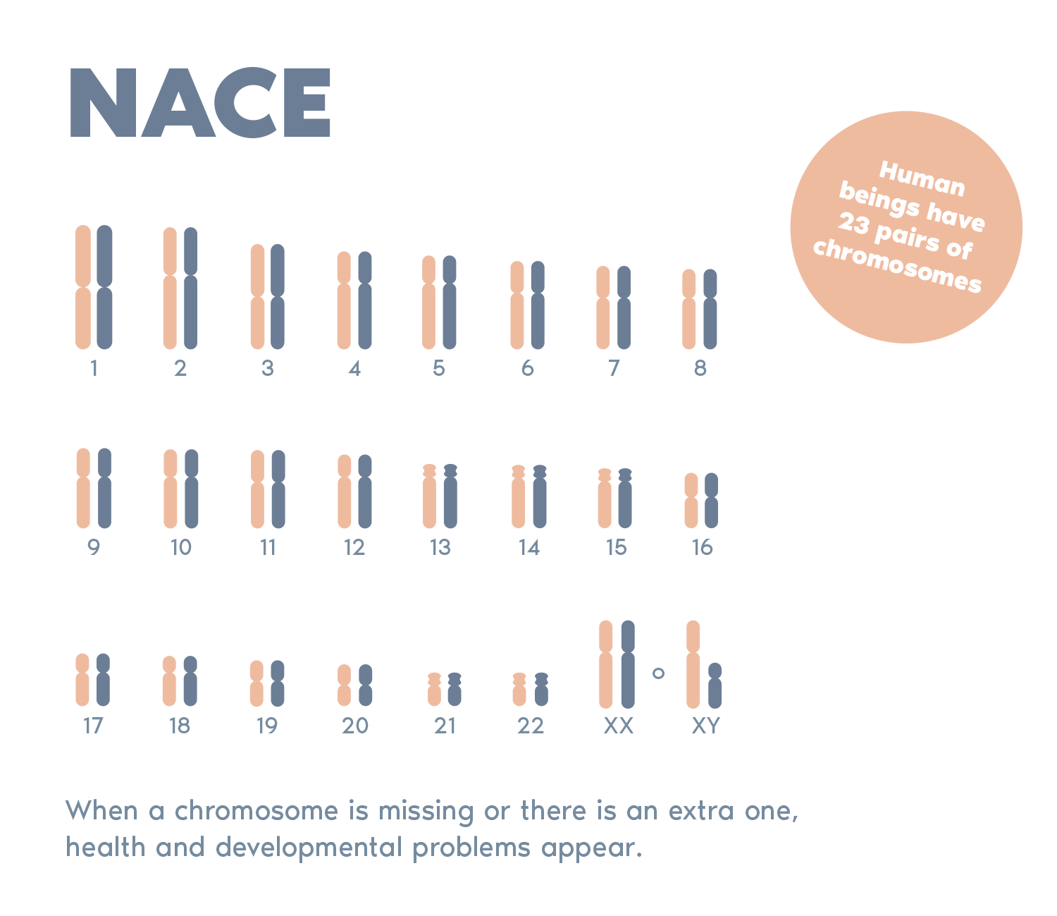 NACE: Non-invasive prenatal test | Healthy Pregnancy | Igenomix India